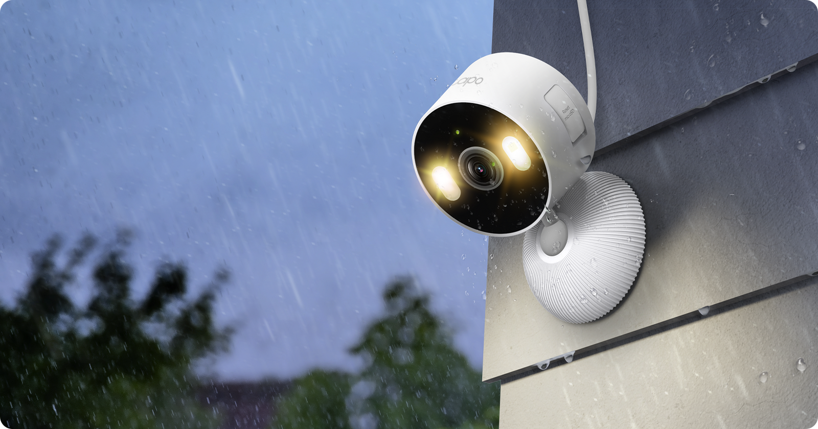 Indoor/Outdoor Wired Camera